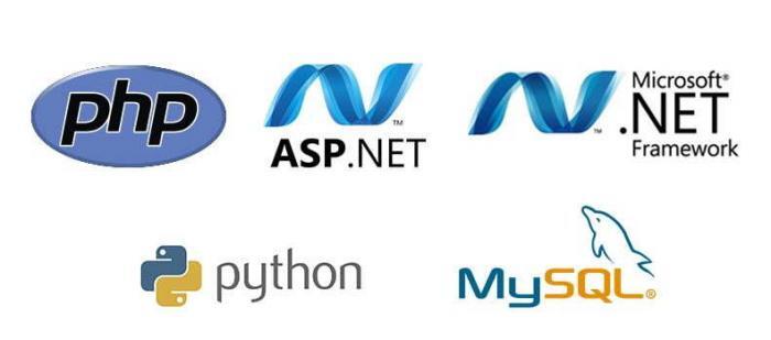 Web Tasarımcısı ve Web Geliştiricisi Nedir? - Niobe Hosting